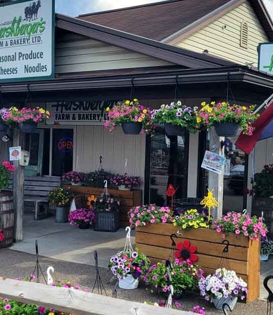 delightful amish bakery ohio ftr