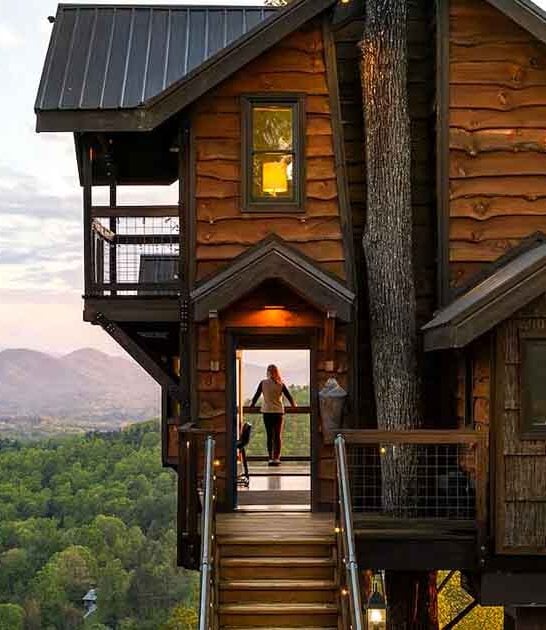 dreamy treehouse north carolina ftr