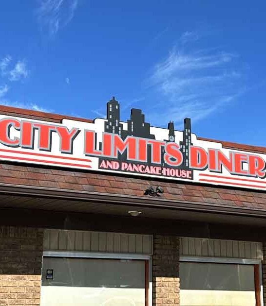 early breakfast michigan diner ftr