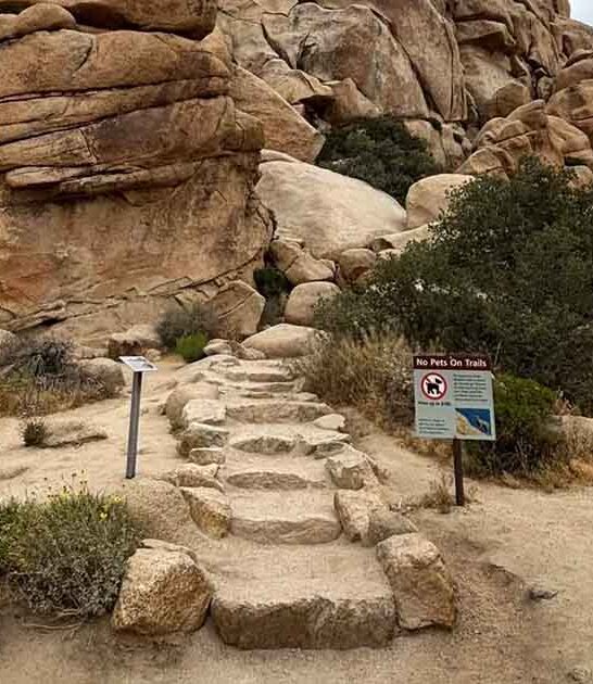 easy hike california world ftr