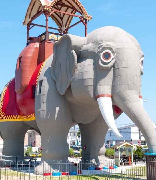 elephant building new jersey ftr