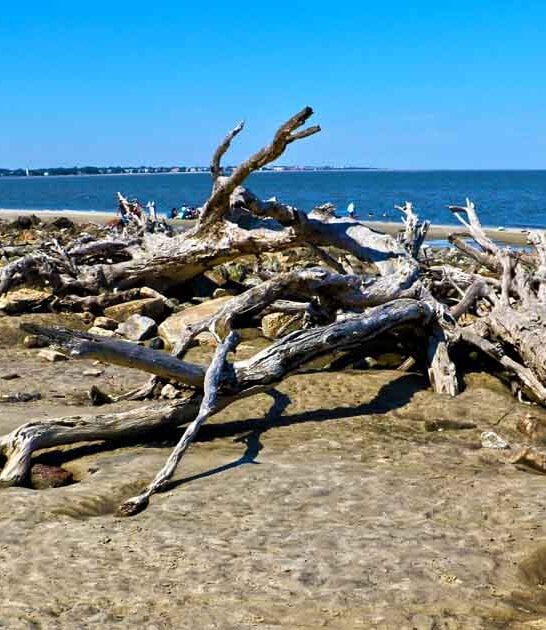 enchanting georgia beach dream ftr
