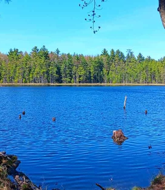 enchanting lakeside park wisconsin ftr