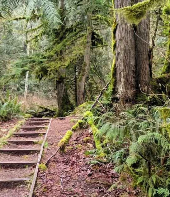 enchanting park washington secrets ftr