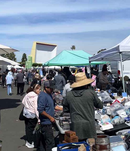 enormous swap california wonderland ftr