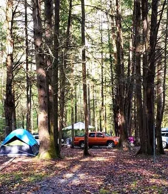 entire north carolina campground ftr
