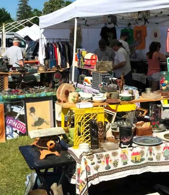 exploring new york flea ftr