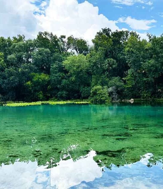 florida crystal spring spot ftr