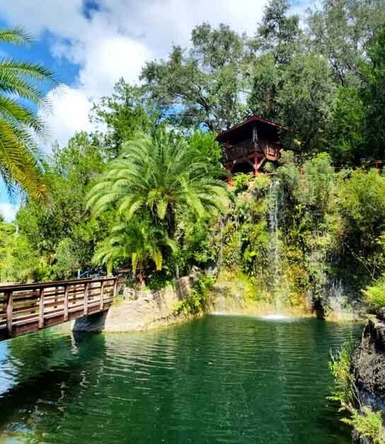 florida dreamy garden day ftr