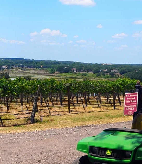 This 127-Acre Florida Estate Offers Completely Free Wine Tastings 7 Days A Week