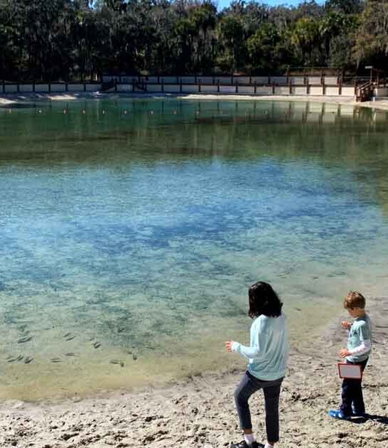 florida hidden crystal spring ftr