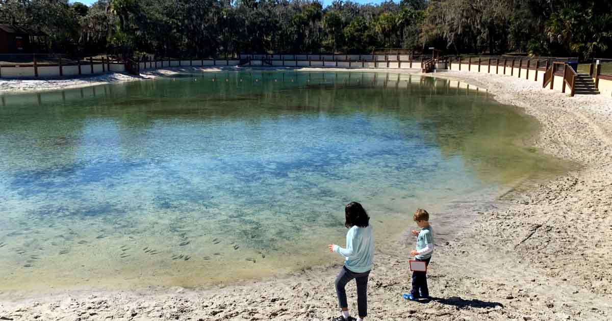The Crystal Clear Spring Hiding In Florida That Most Locals Don't Even ...