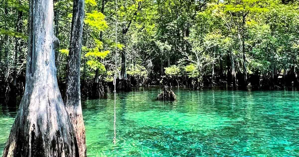 Only In Florida Will You Find 8 Hidden Swimming Holes With Water This Florida Hidden Swimming Holes FTR 