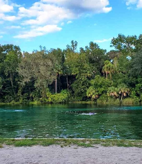 You Can Walk To This Crystal Clear Natural Spring In Florida In Less Than A Minute