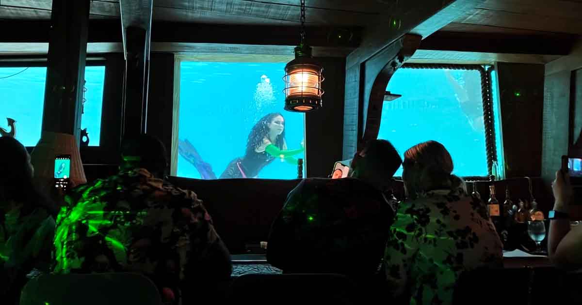This Quirky Little Florida Bar Is The Only Place You Can Watch Mermaids Swim By Your Table
