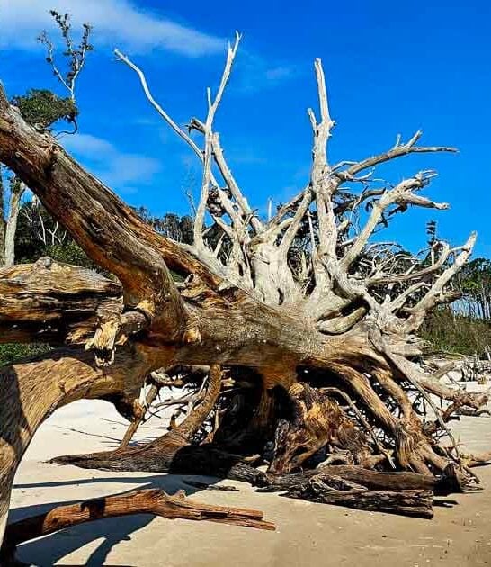 florida underrated places ftr