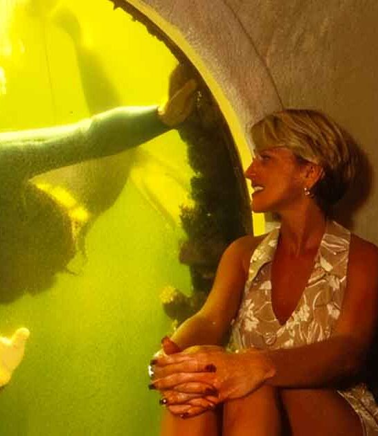 florida underwater hotel scuba ftr