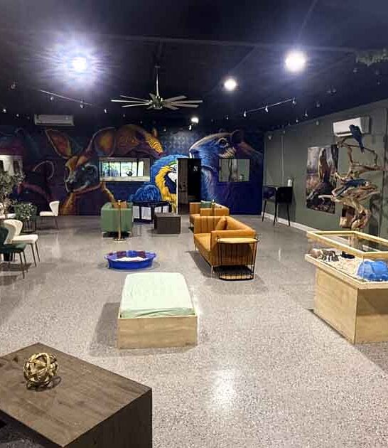 This Unique Florida Cafe Lets You Sip Coffee While Hanging Out With Capybaras