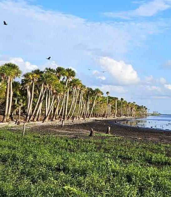 florida visit stunning preserve ftr