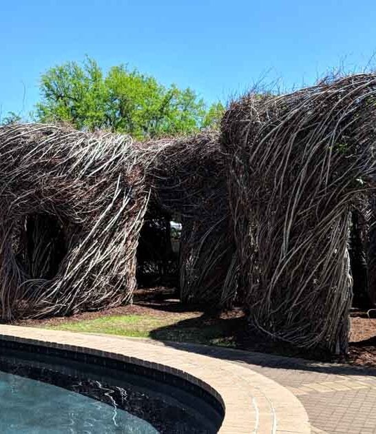 garden sculptures south carolina ftr