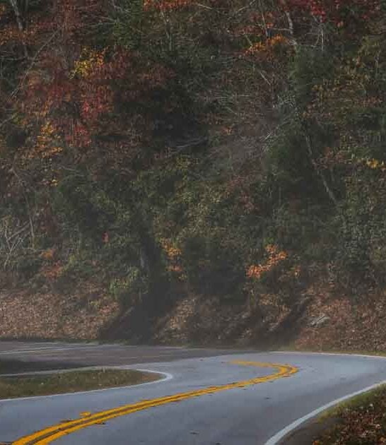 georgia hidden scenic byway ftr