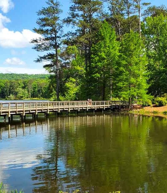 The Breathtaking Georgia Park That Belongs On Your Bucket List