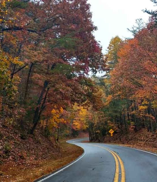 Discover Georgia’s Best-Kept Secrets On This Once-In-A-Lifetime Adventure