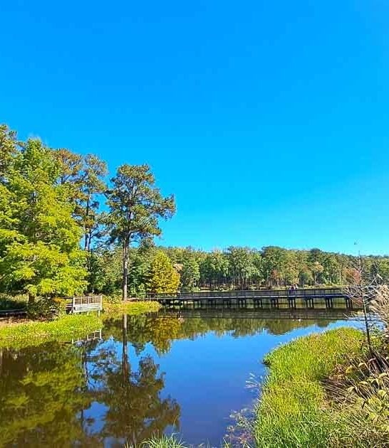 georgia stunning park trip ftr