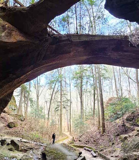 hidden alabama gems ftr