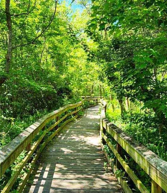 hidden beautiful florida garden ftr