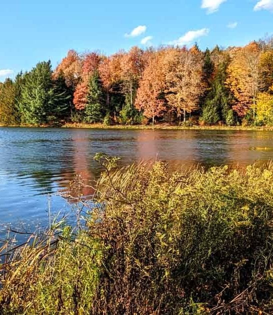 hidden fishing lake pennsylvania ftr
