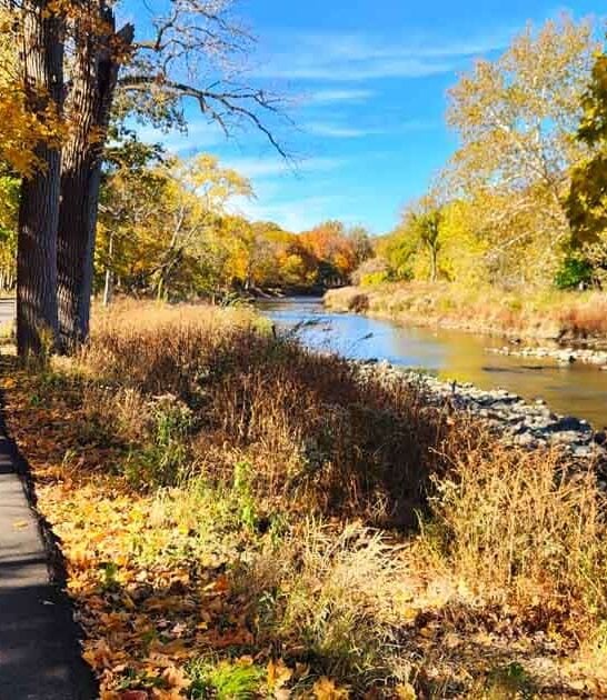hidden forest preserve illinois ftr