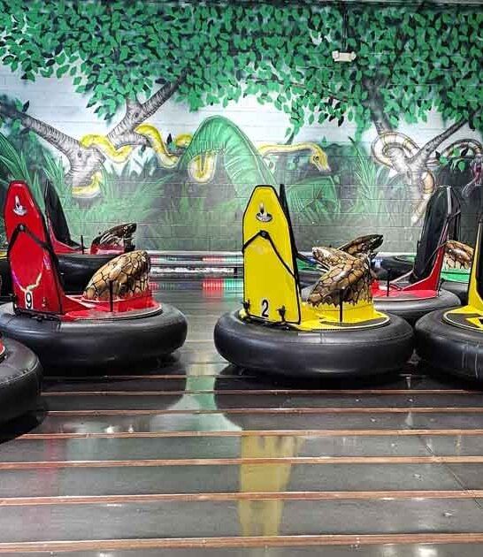 This Hidden Indoor Amusement Park In Illinois Is A Blast For All Ages