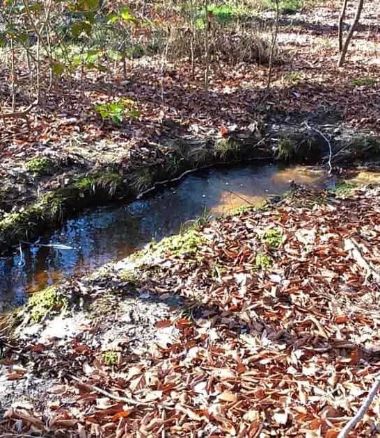 hidden loop trail maryland ftr