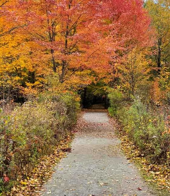 hidden michigan state park ftr