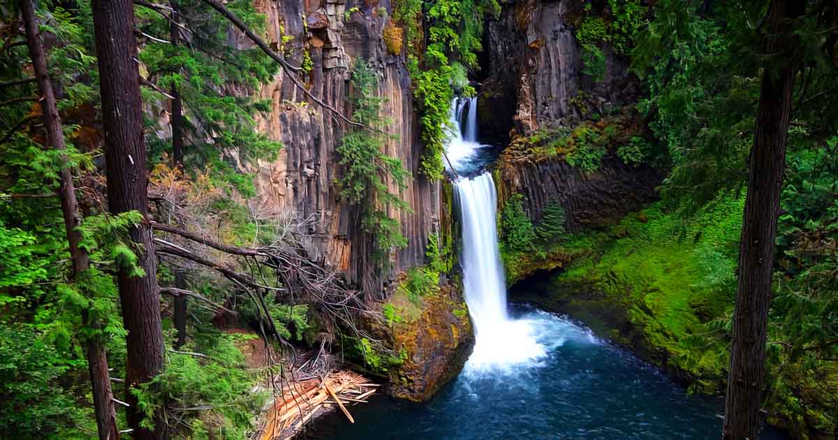 This Hidden Oregon Waterfall Is So Beautiful And Dreamy, Locals Can't ...