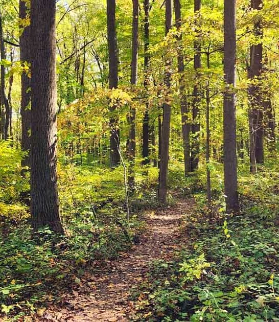 hidden park maryland ftr