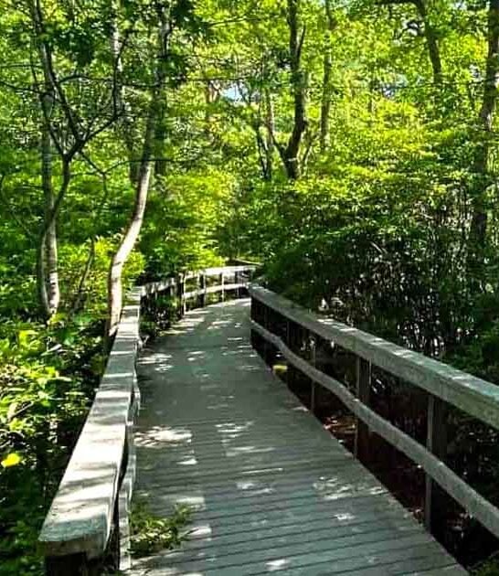 hidden trail massachusetts known ftr