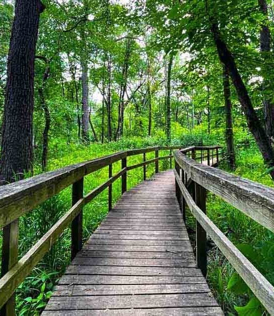 illinois outdoor trails magic ftr