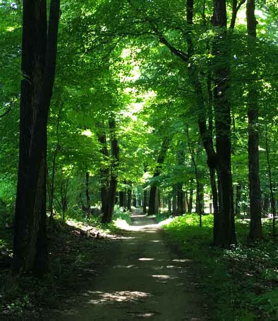 illinois wildlife nature preserve ftr