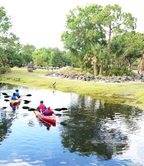 incredible florida animal encounters ftr