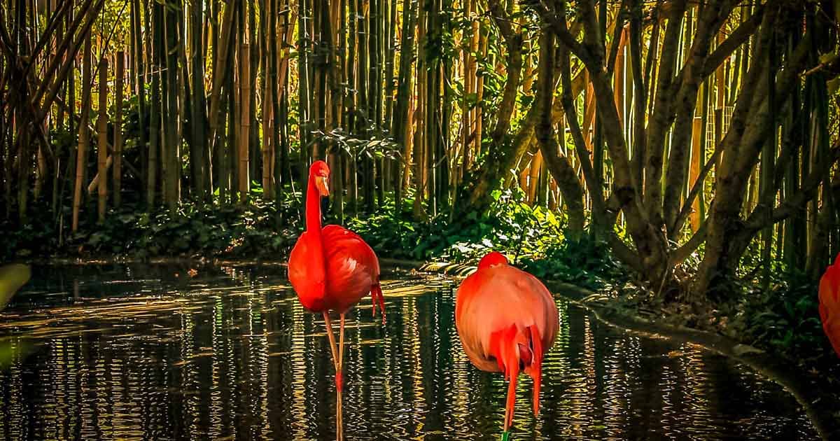 You Won't Believe This Incredible Maryland Zoo Is Completely Free To Enter