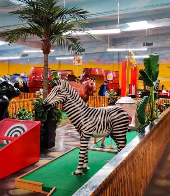 indoor playground arizona epic ftr