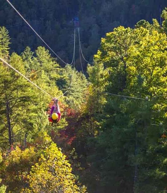 kentucky adventure park gem ftr