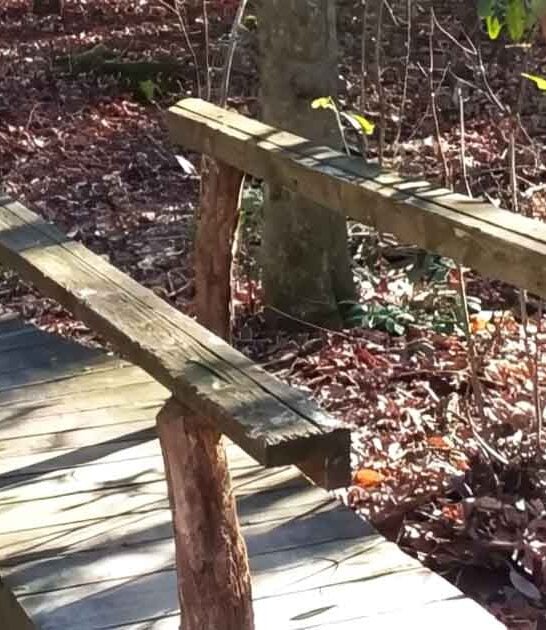 known loop trail maryland ftr