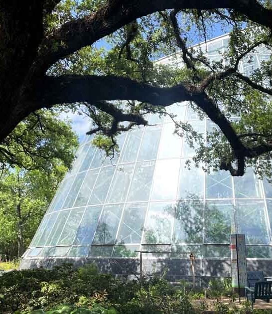 largest butterfly conservatories texas ftr