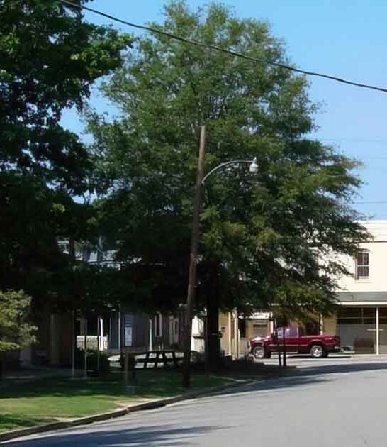 little virginia town unusual ftr