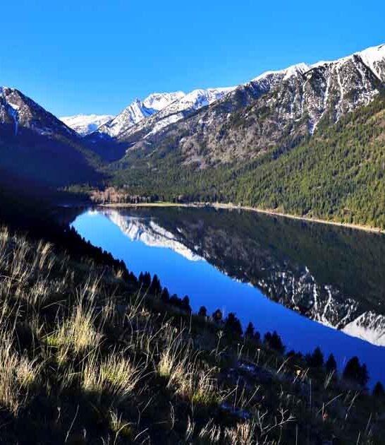 locals oregon lake switzerland ftr