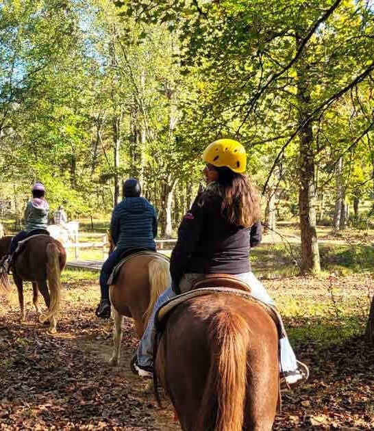 magical horseback tour georgia ftr