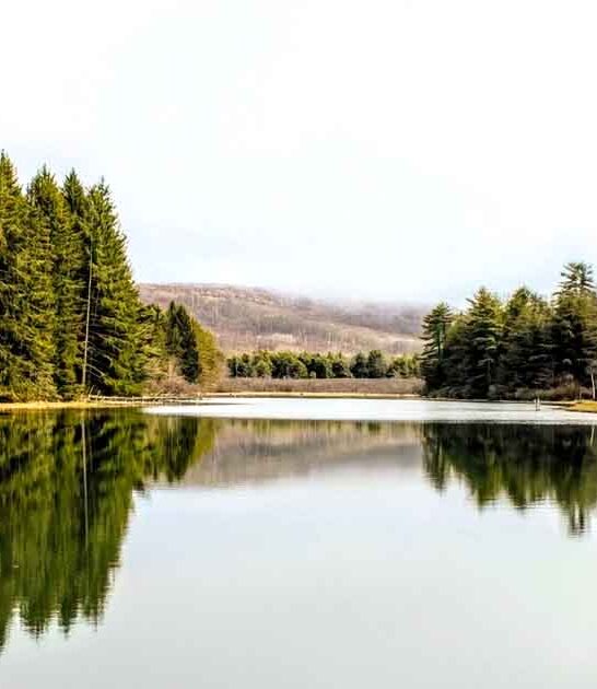 maryland discover spectacular park ftr